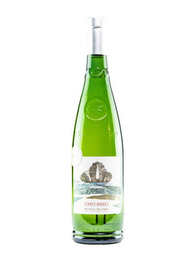 Cave Picpoul de Pinet - Les Vignerons Montagnac Domitienne